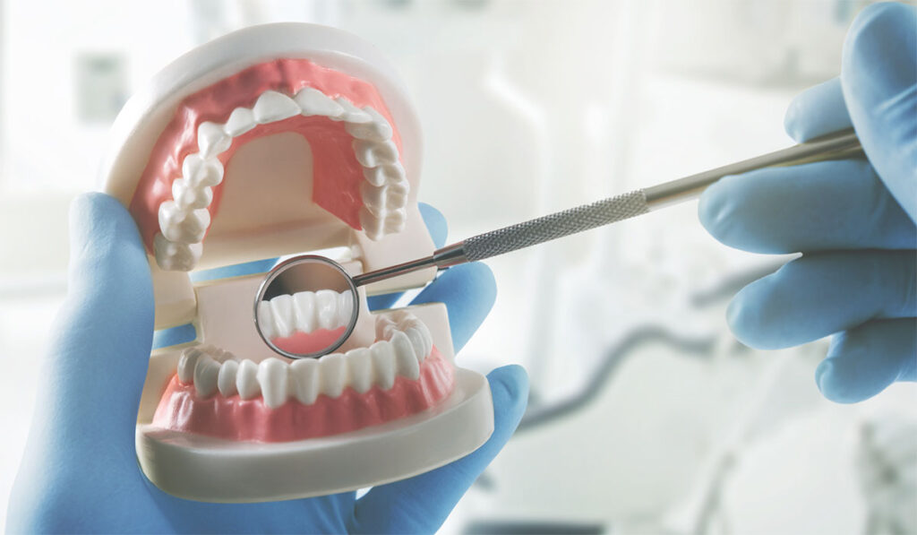 Windsor Family Health Team’ Oral Health Education Program ...